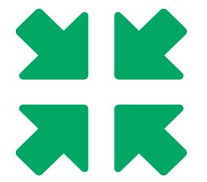 ICMA EcoLabel Standard Program